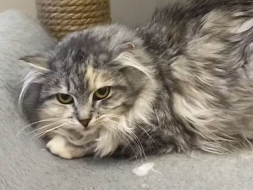 Никто не любит