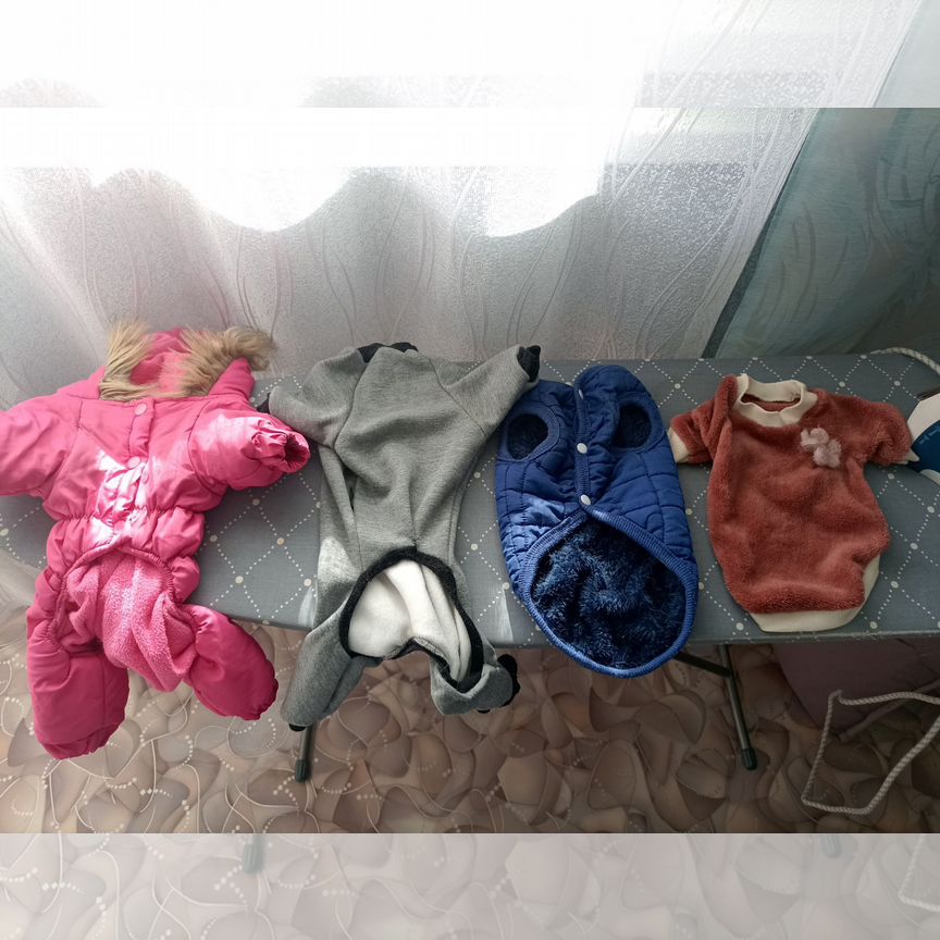 Одежда для маленьких собак