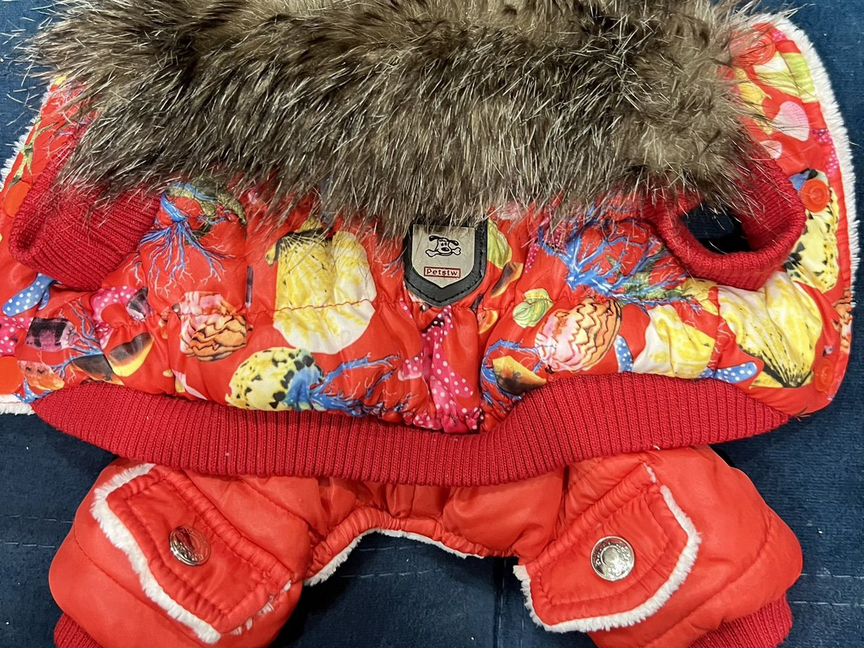 Одежда для маленьких собак xs