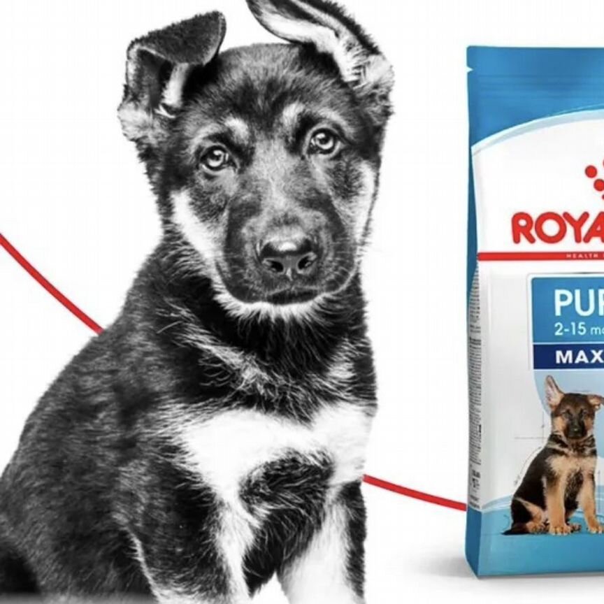Сухой корм для щенков royal canin