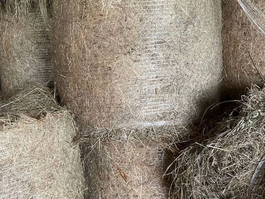 Сено в рулонах от 40 штук с доставкой