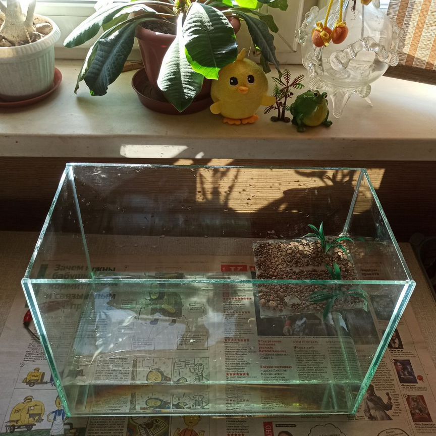 Террариум для красноухой черепахи