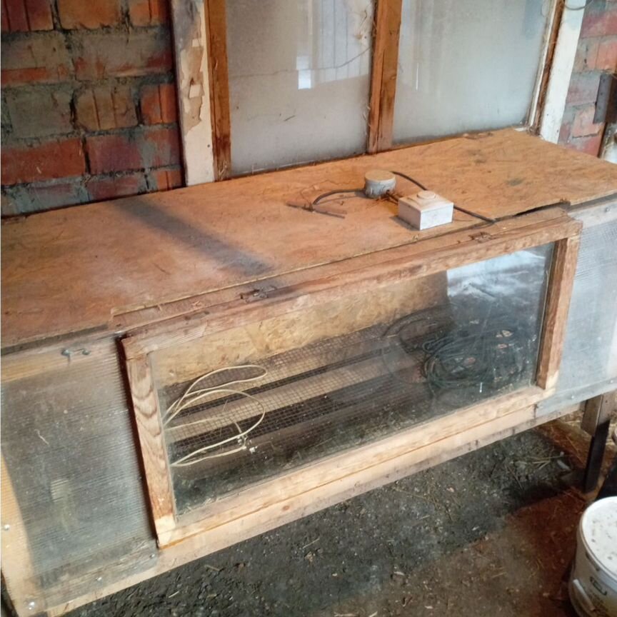 Брудер для цыплят