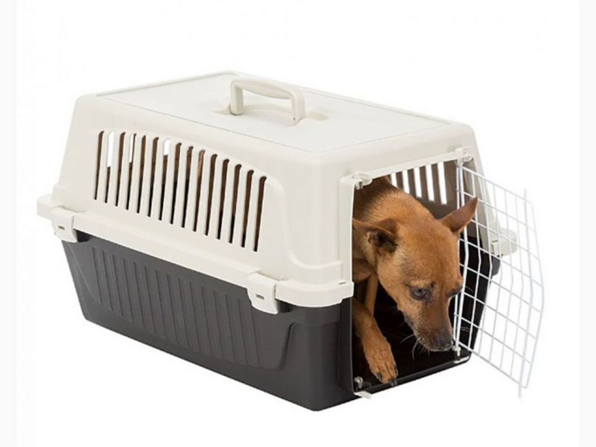 Переноска для собак