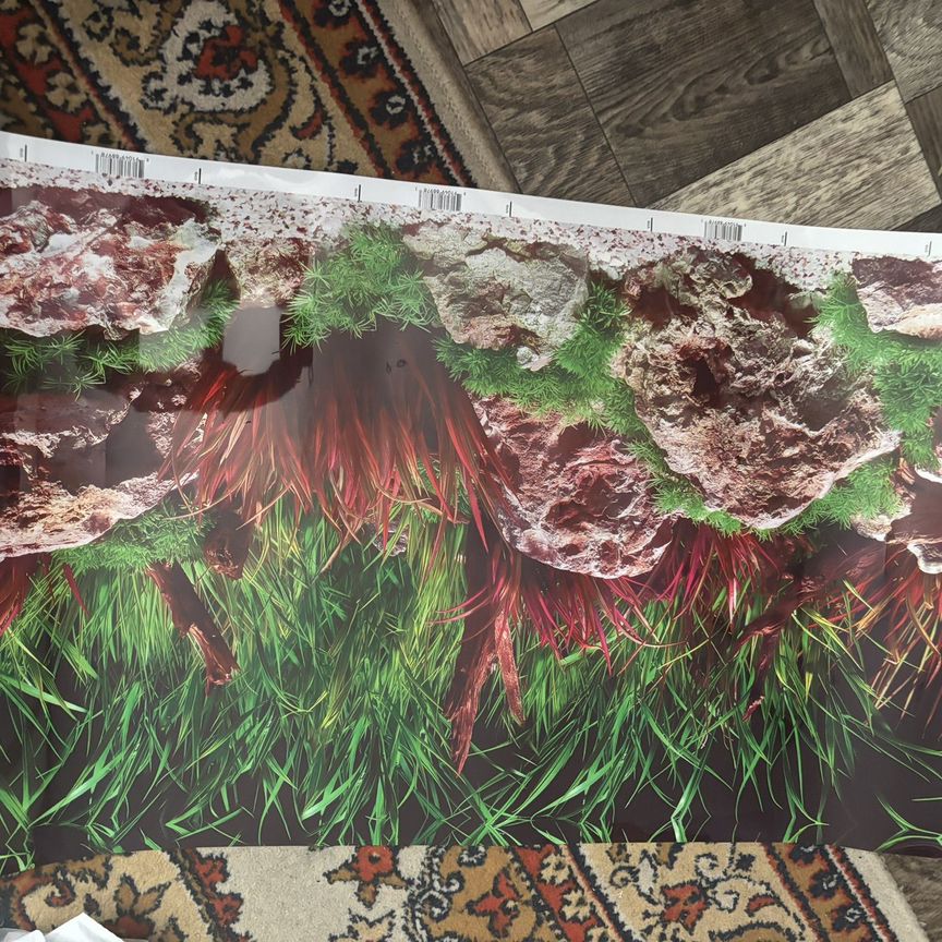 Задний фон для аквариума