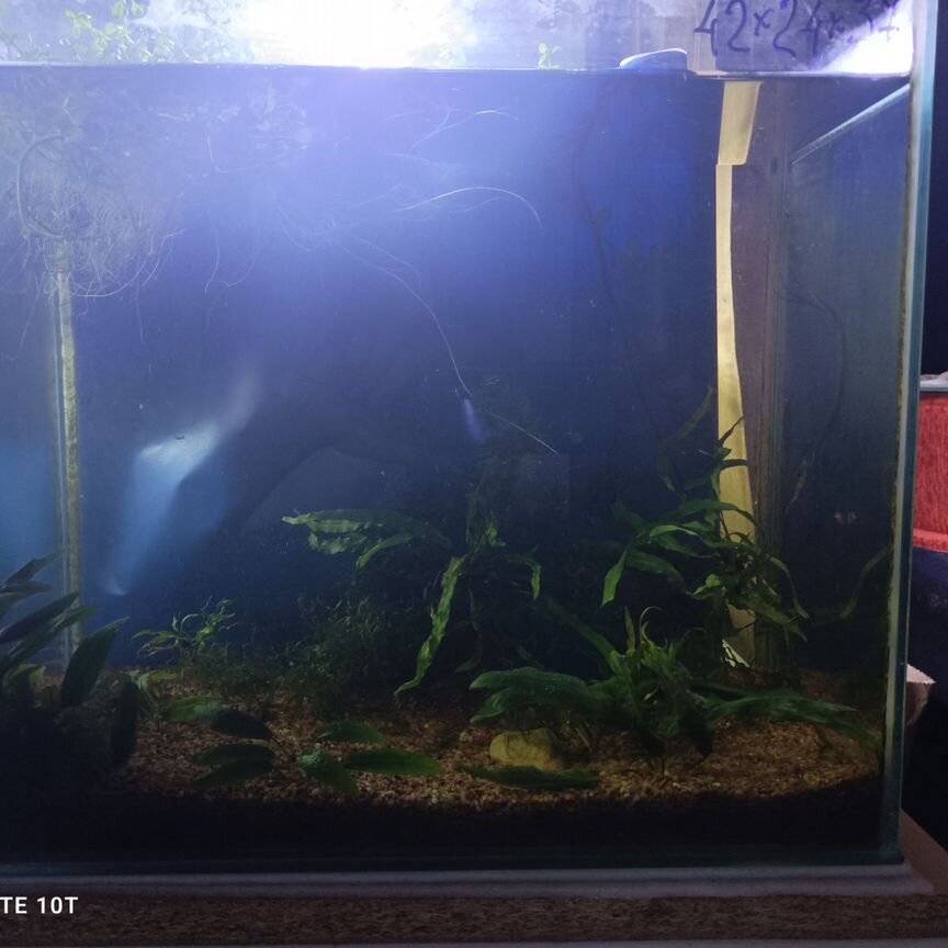 Украшение для аквариума