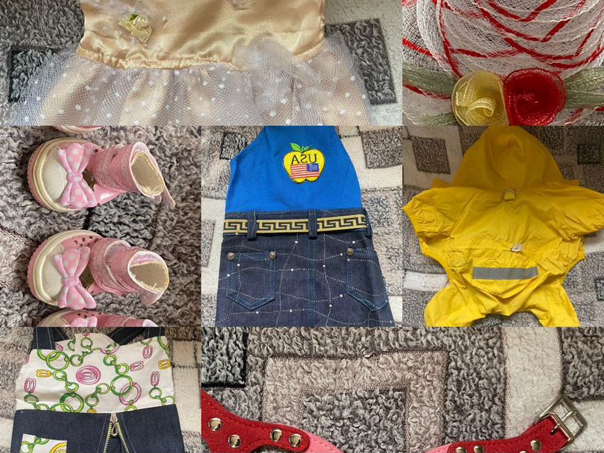 Одежда, переноска, шлейка для мелких)