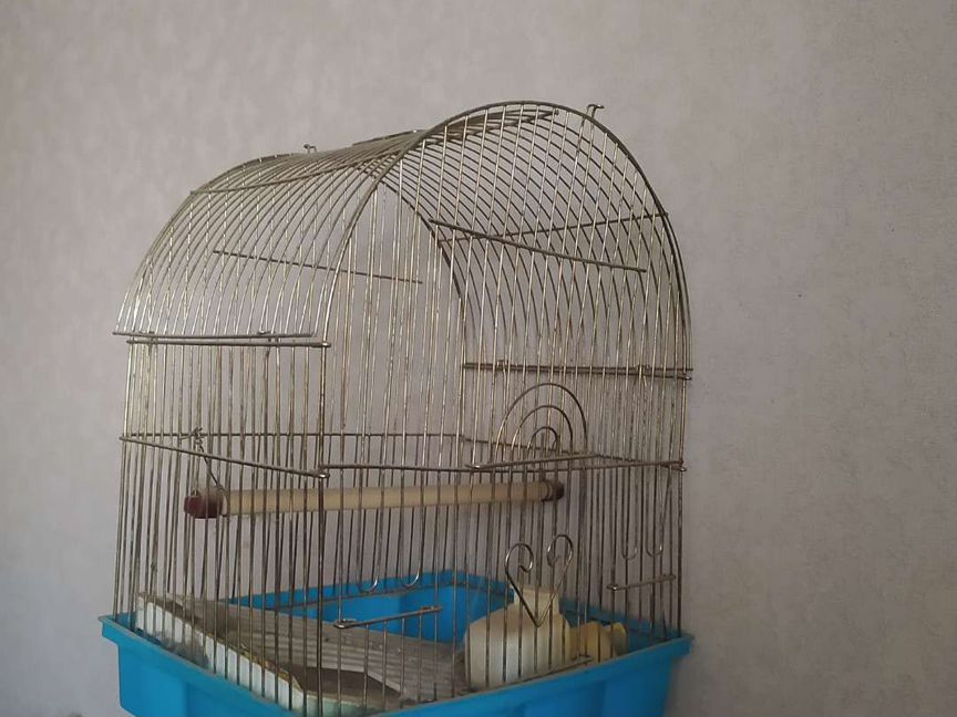 Клетка для птиц и аквариумы