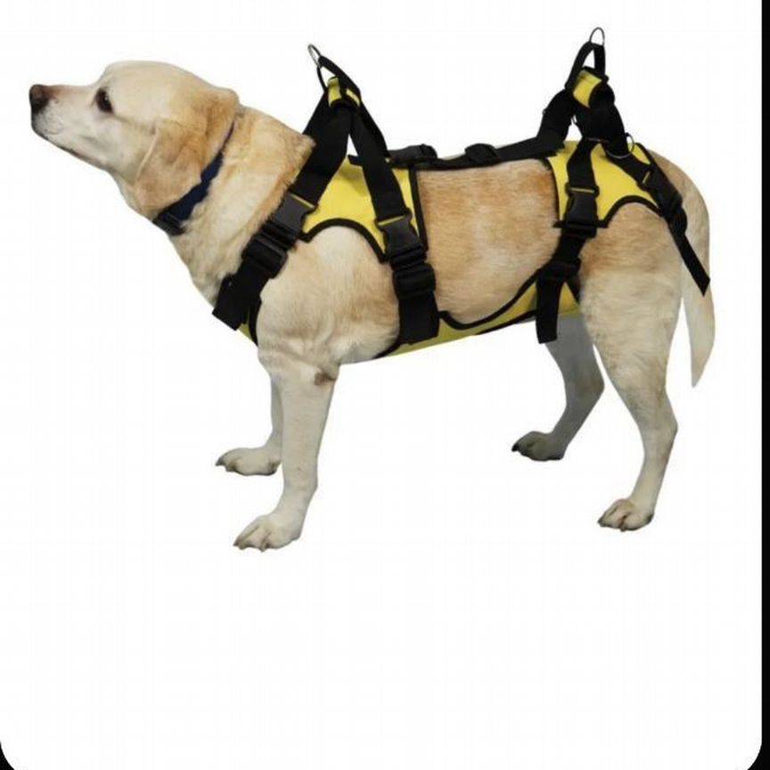 Поддержка для собак полная