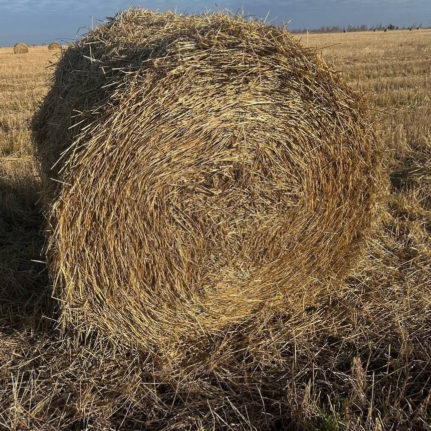 Солома в рулонах
