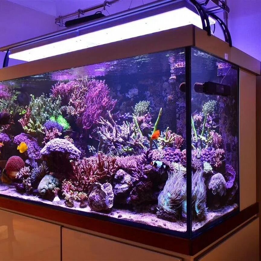 Аквариум новый доставка