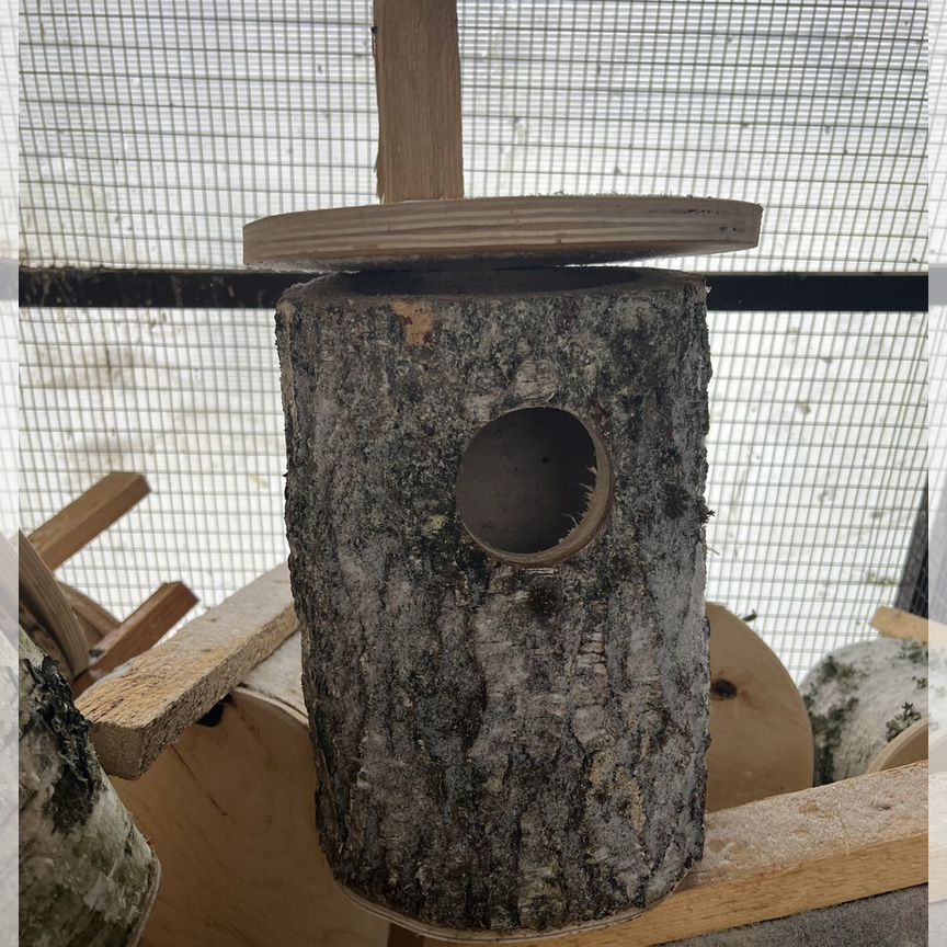 Дуплянка (домик) для белок и птиц