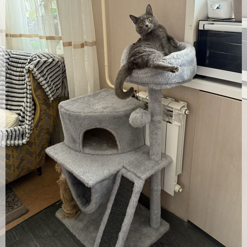 Домик для кошки с когтеточкой
