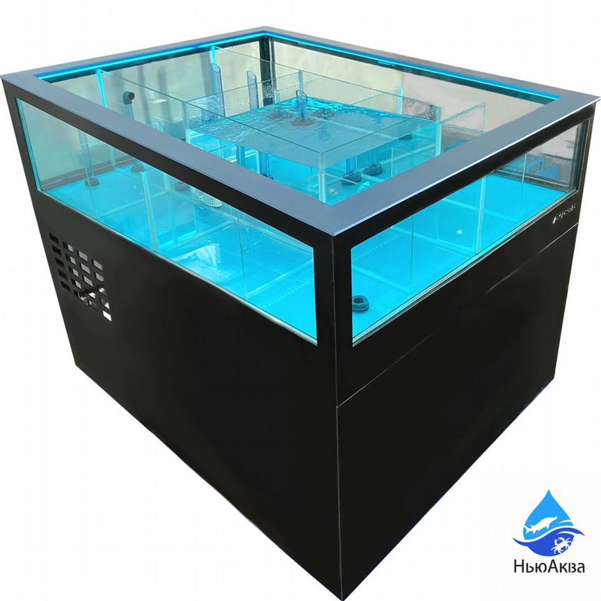 Емкость для раков и устриц