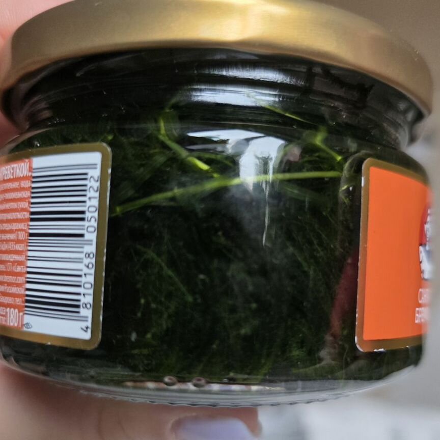 Яванкий мох