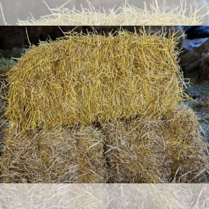 Солома сено в мешках