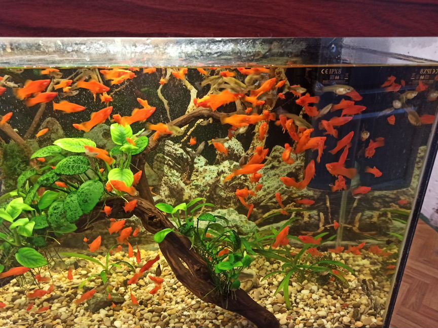 Украшение для аквариума