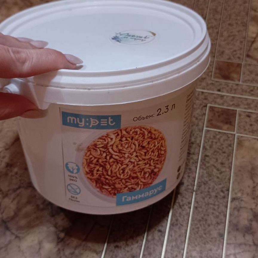 Гамарус сушёный