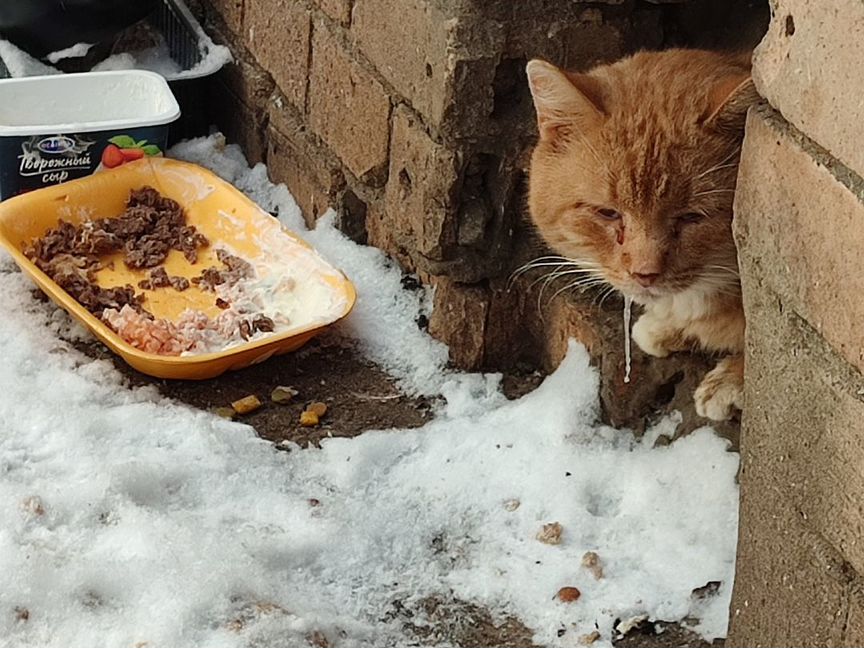 Умирает Рыжий