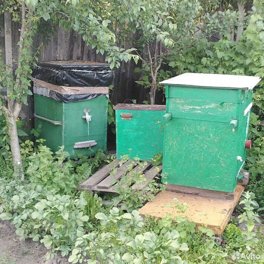 Ульи для пчел