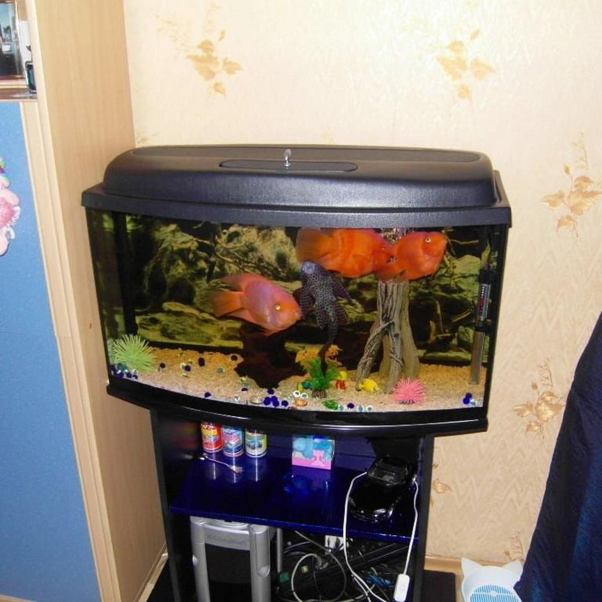 Аквариум с тумбой