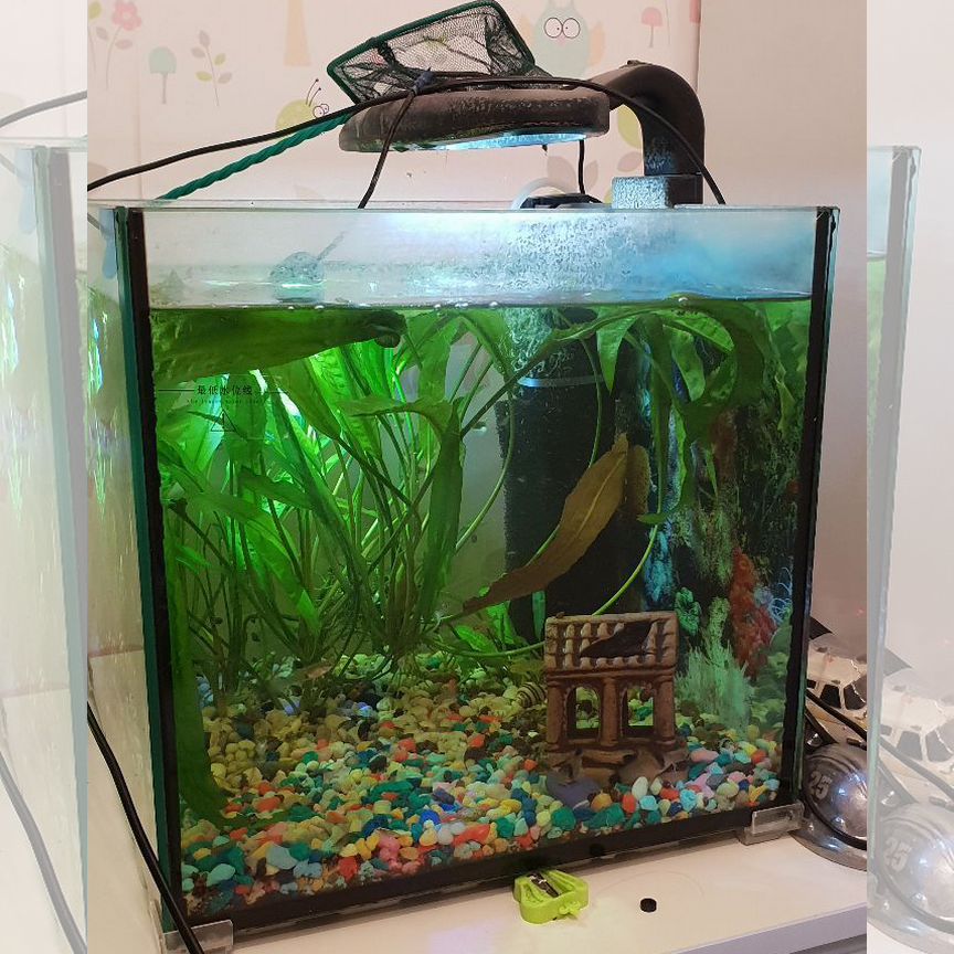 Аквариум 30 литров   светильник   грунт