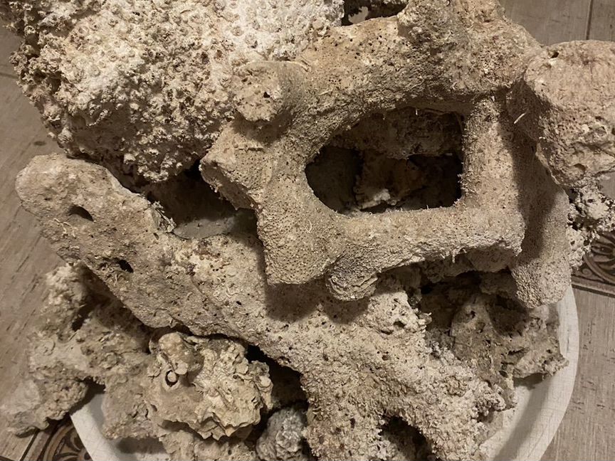 Живые (сухие) камни доя морского аквариума