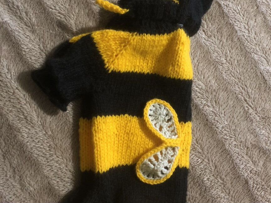 Одежда для собак