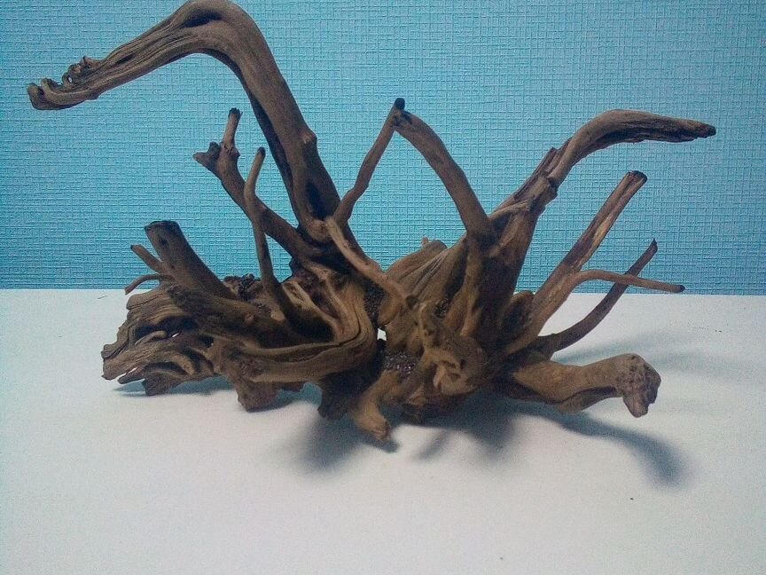 Коряга натуральная