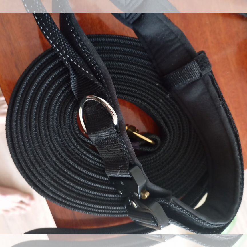 Ошейник и поводок