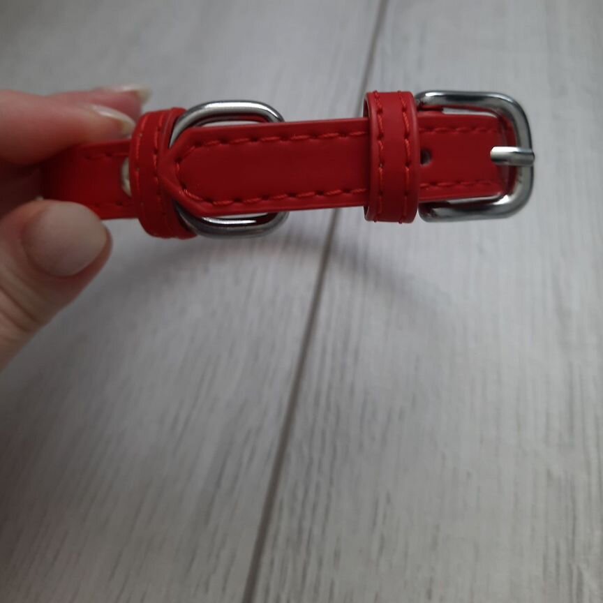 Ошейник для собак