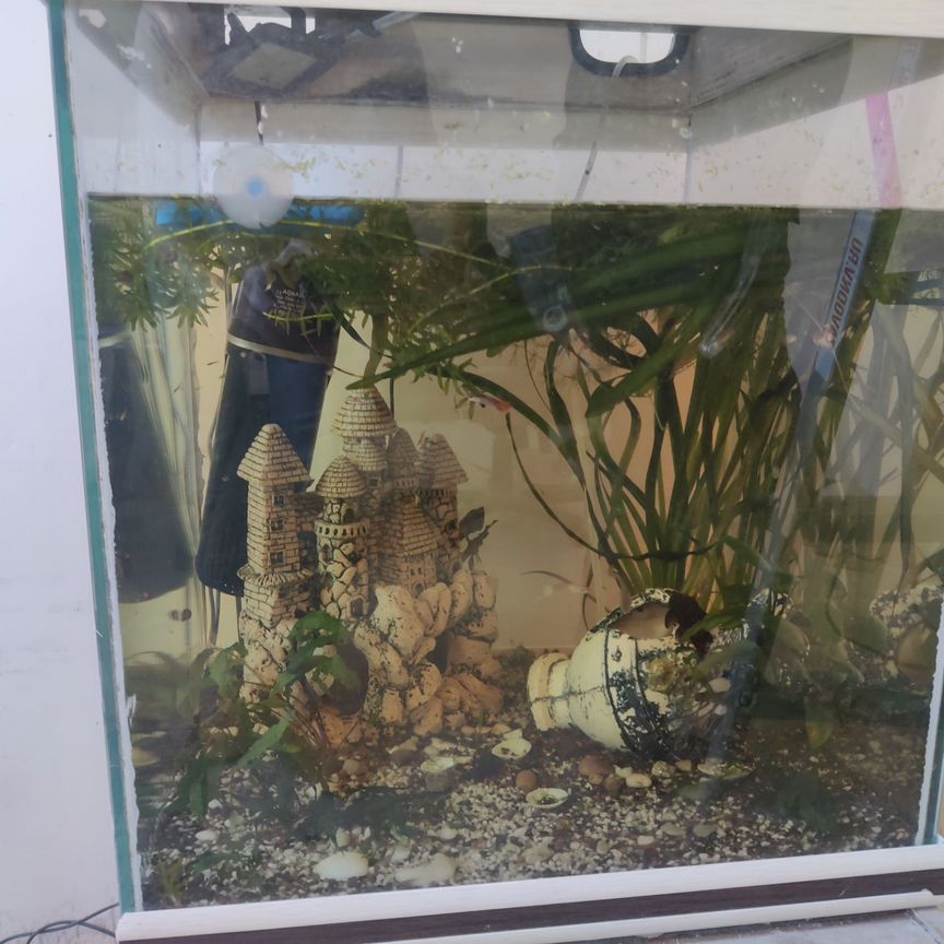 Аквариум куб