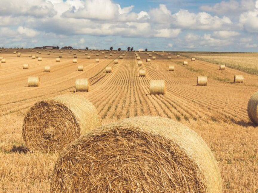 Солома в тюках