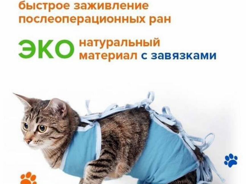 Новая Попона послеоперационная для кошек
