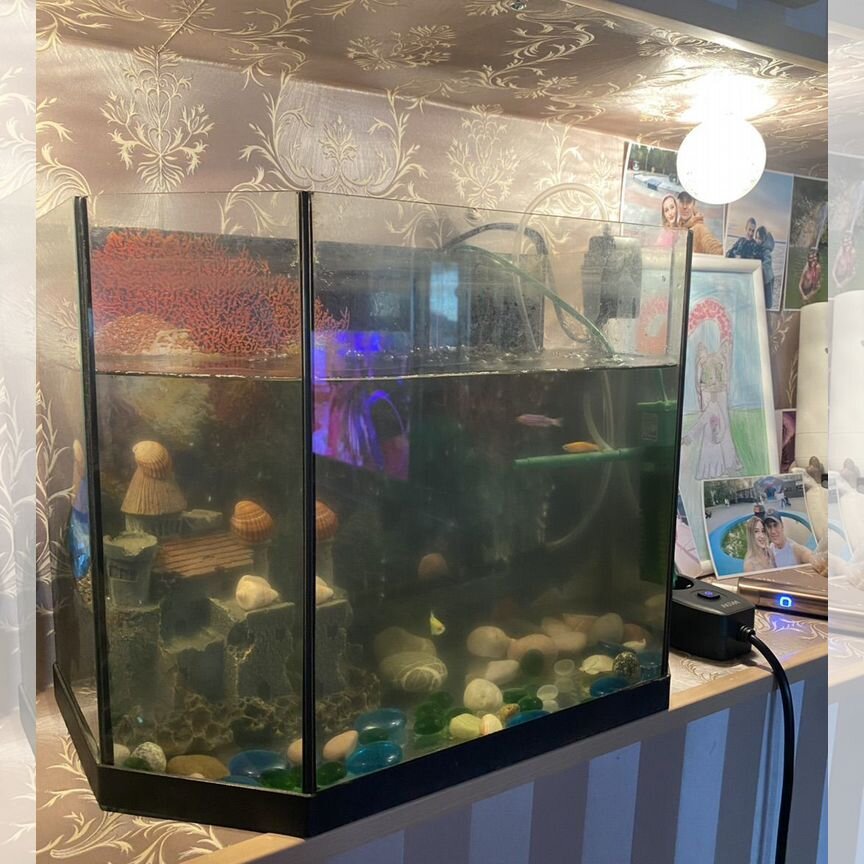 Аквариум с рыбками