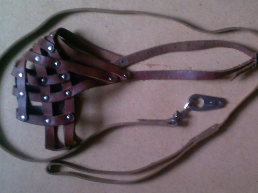 Поводок намордник шлейка др.для собаки