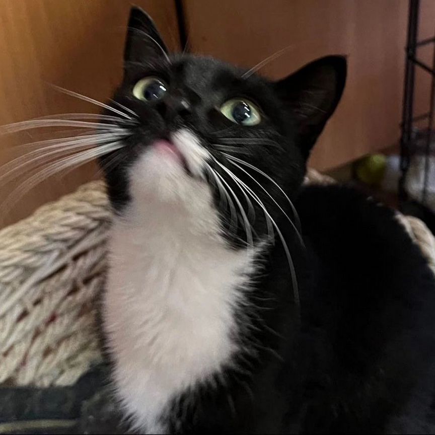 Милый мальчик Сеня