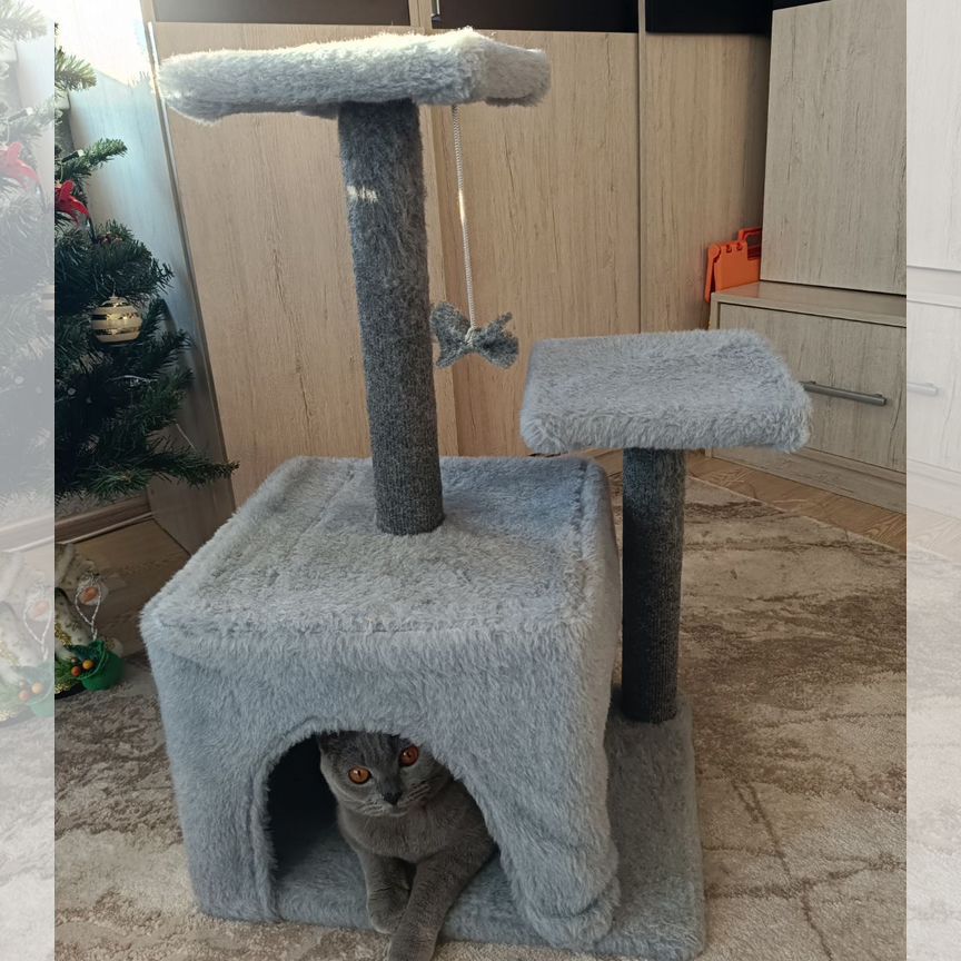 Когтеточка с домиком и лежанкой