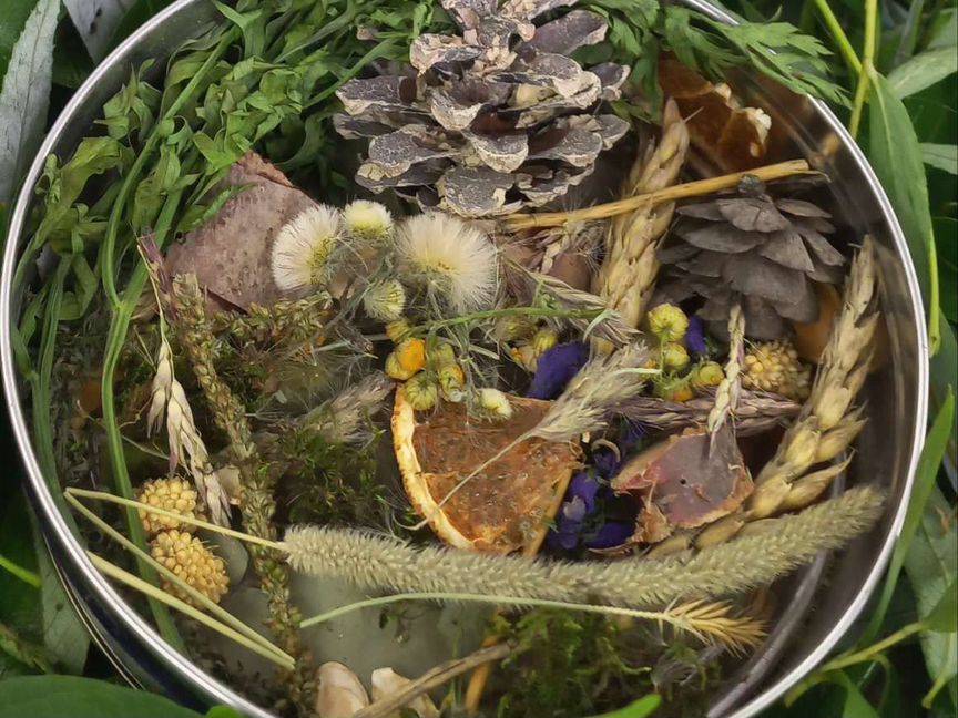 Копошилка для попугаев