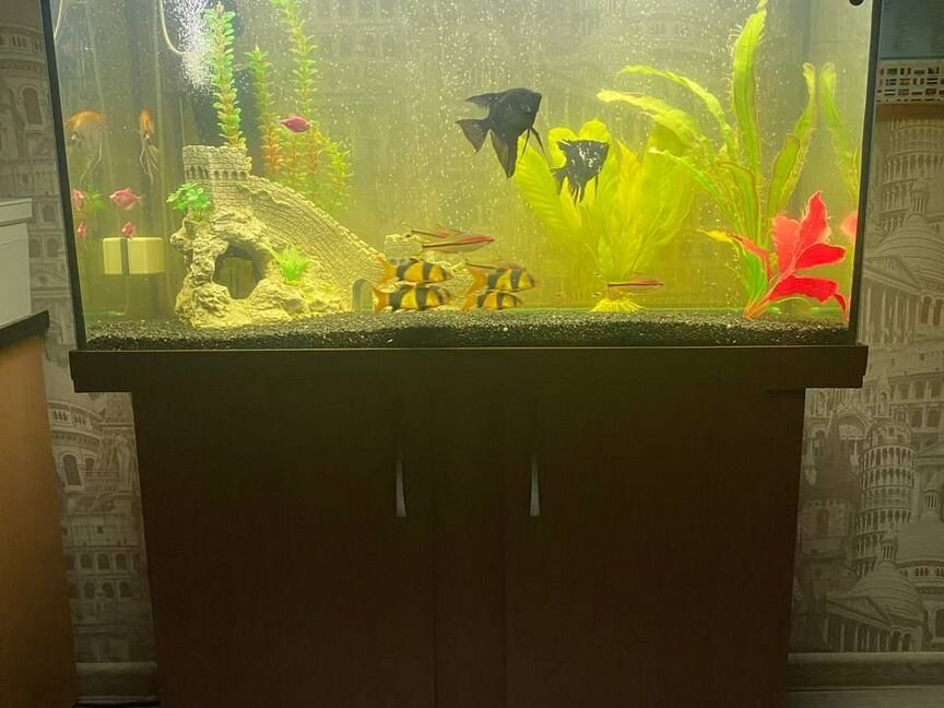 Аквариум с рыбками и тумбой