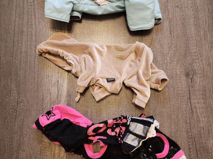 Одежда для собак