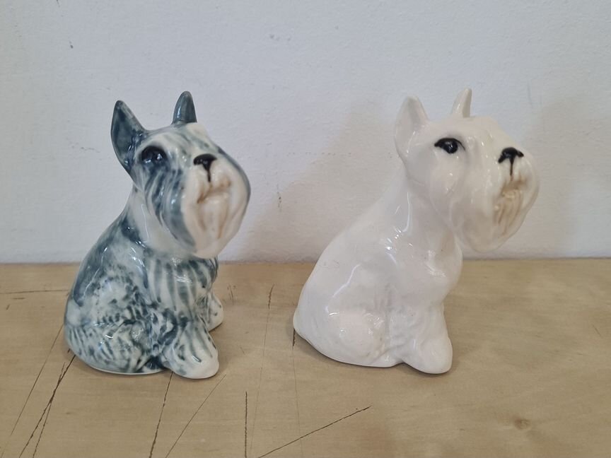 Миттельшнауцер и ризеншнауцер