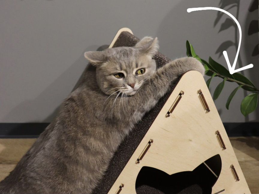 Домик для кошки шалаш с когтеточкой