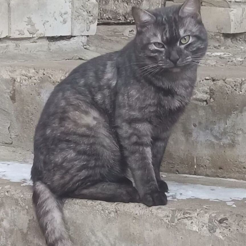 Юный красавчик выживает на улице