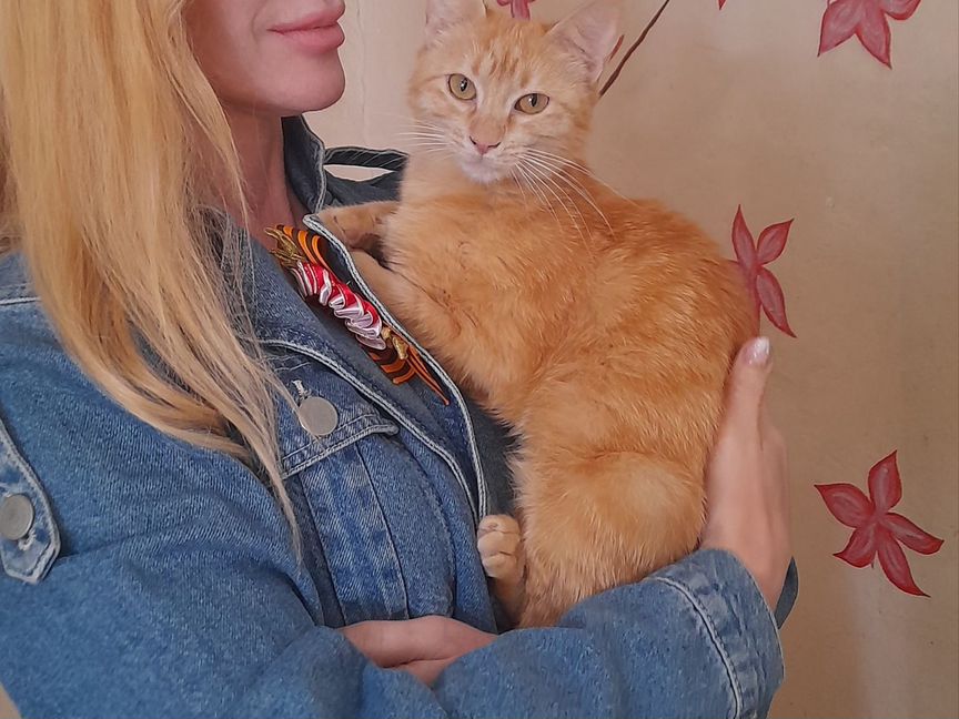 Голди ищет дом