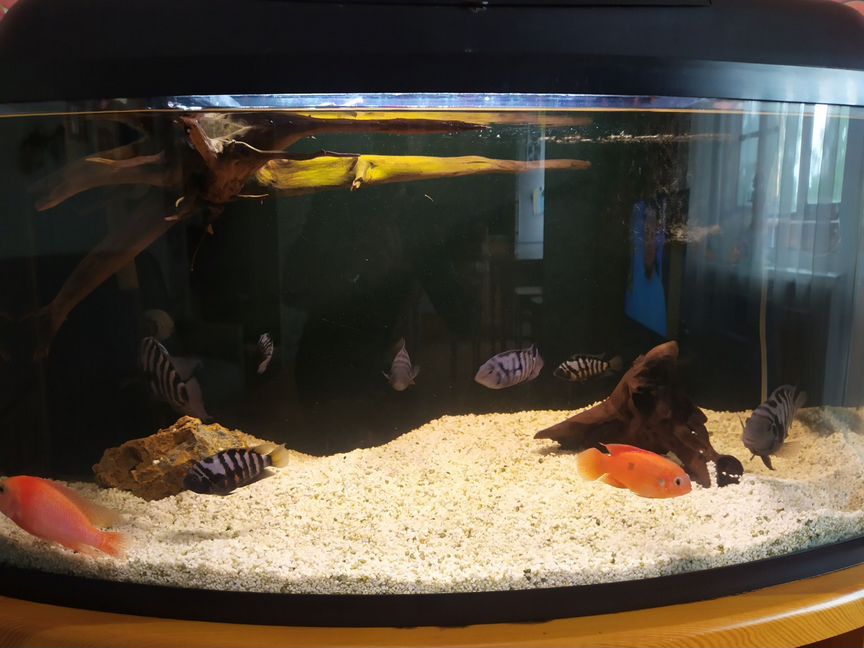 Украшение для аквариума