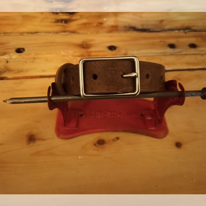 Ошейник именной