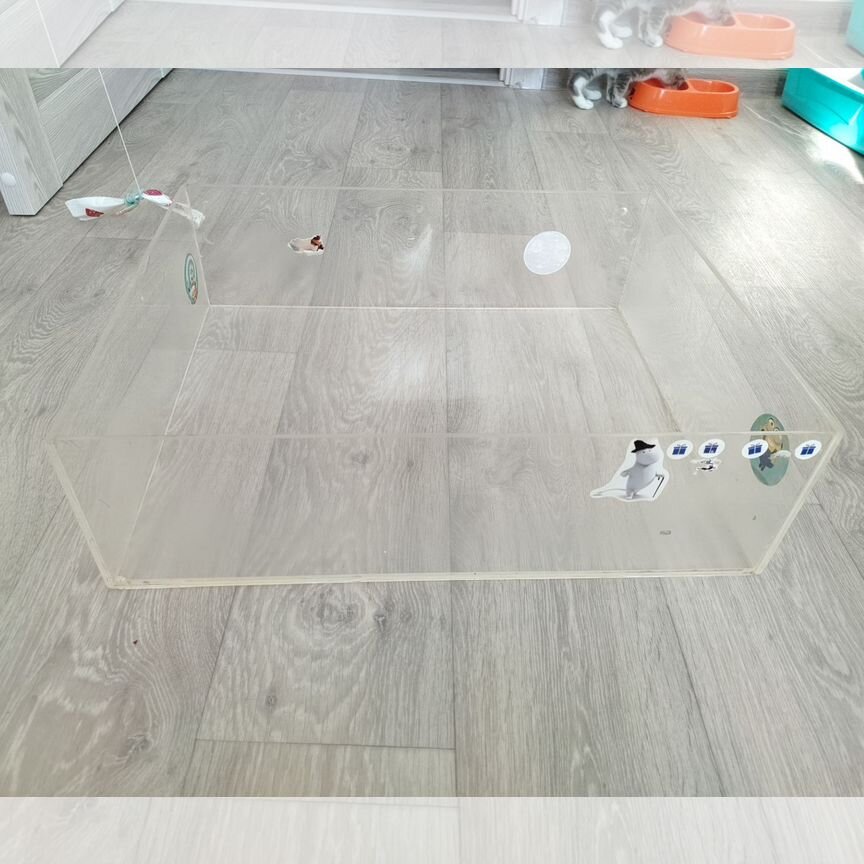 Террариум для рептилий