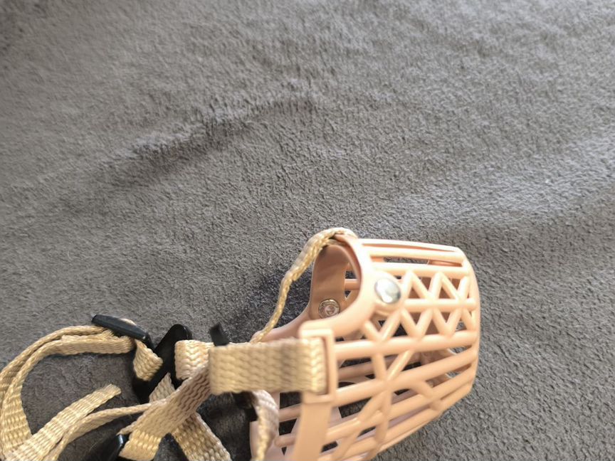 Намордник для маленькой собаки