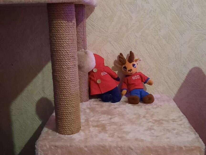 Домик для кошки с когтеточкой бу